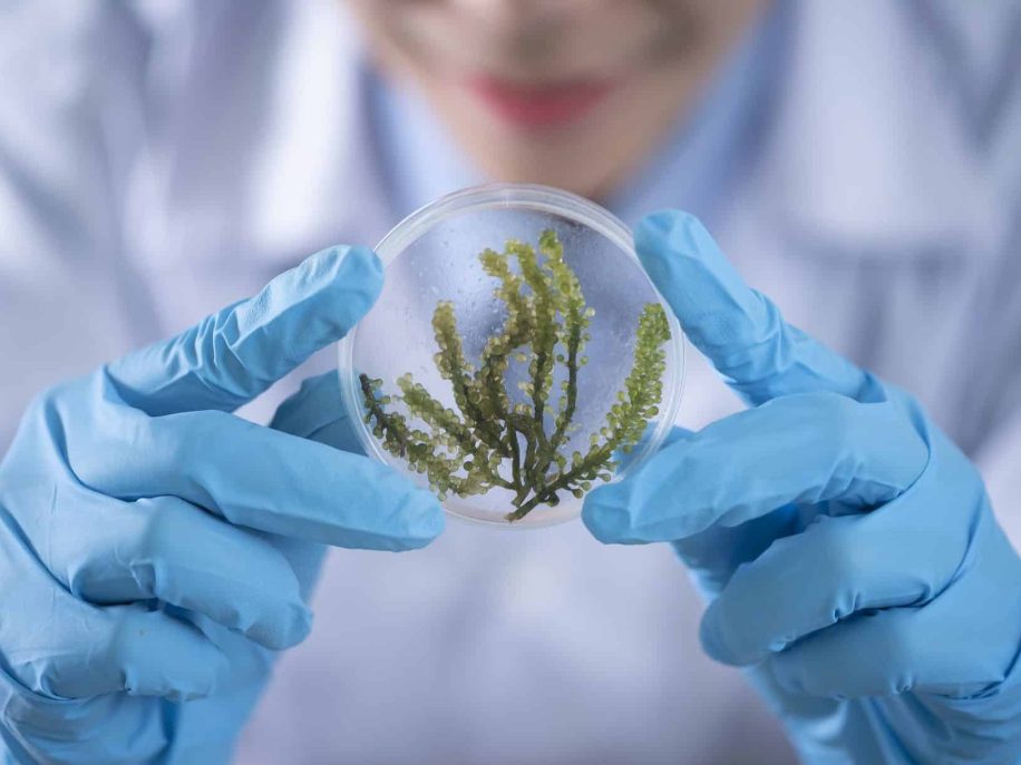 Why Biology is important for Students